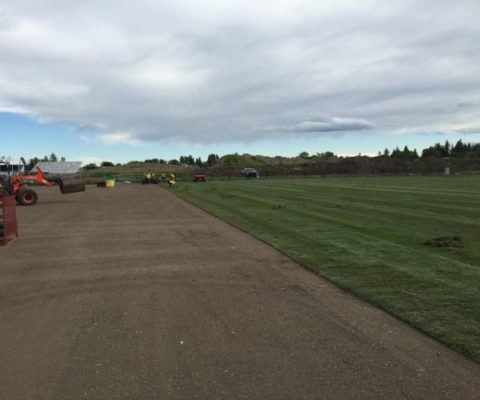 Sports Fields - Bos Sod Farms